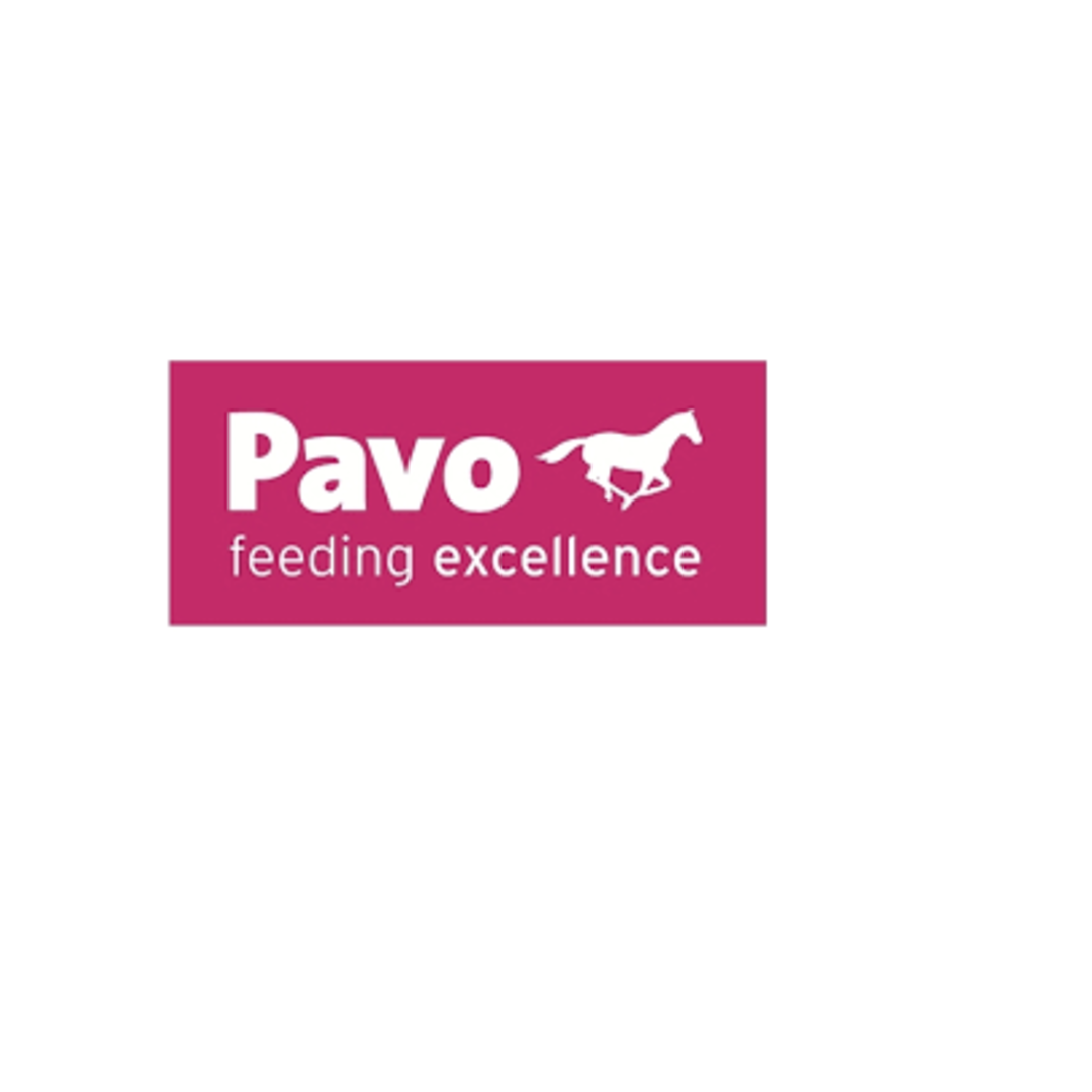 Pavo - Ryttare och Häst ridsport